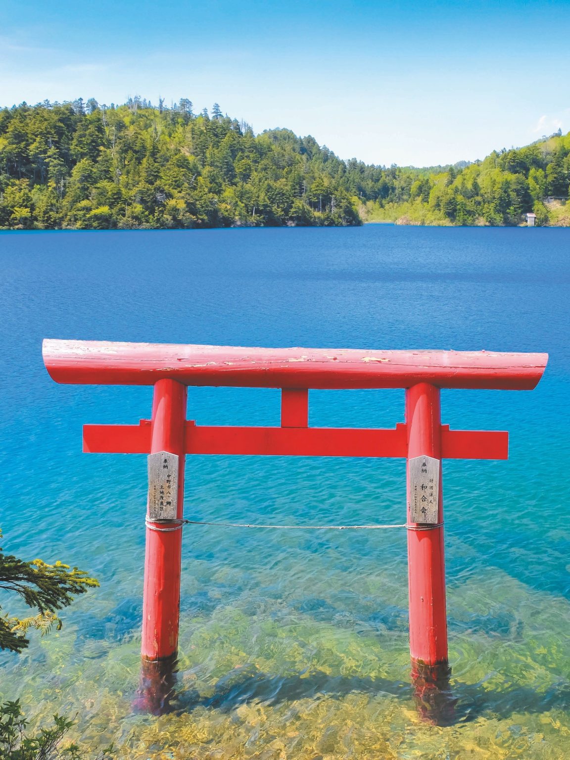 WEBサイト「ZIPANGU Tourism」がオープン｜内外出版社